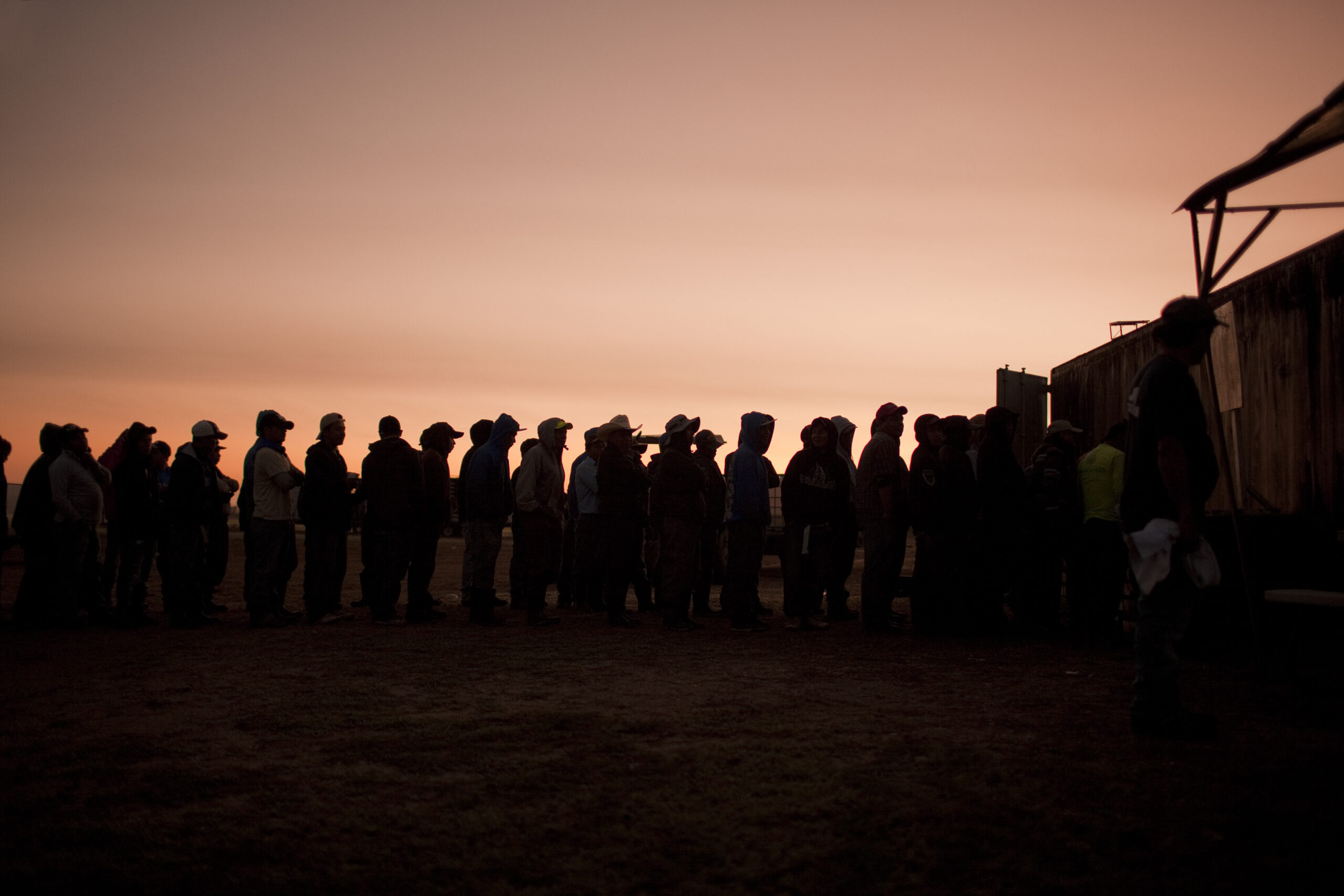 Organi017c Rising 2023 - Organic Rising