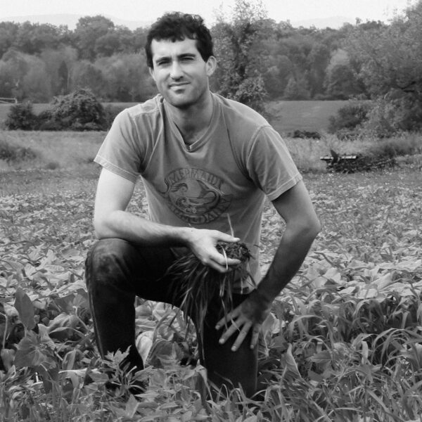 Organic Rising