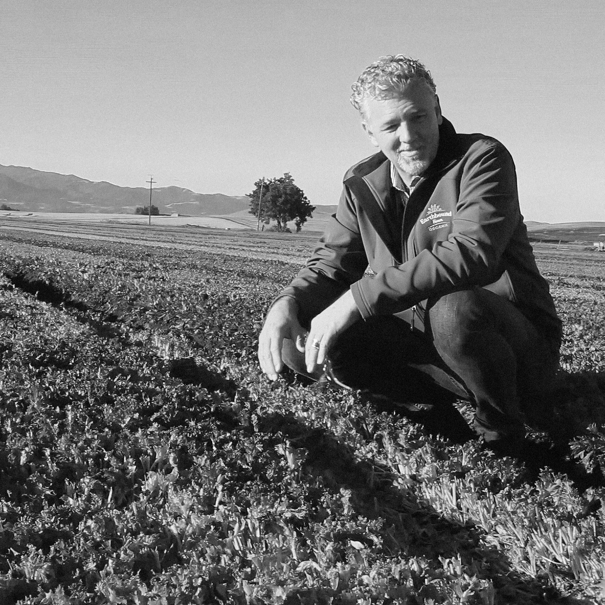 John Foster - Organic Rising