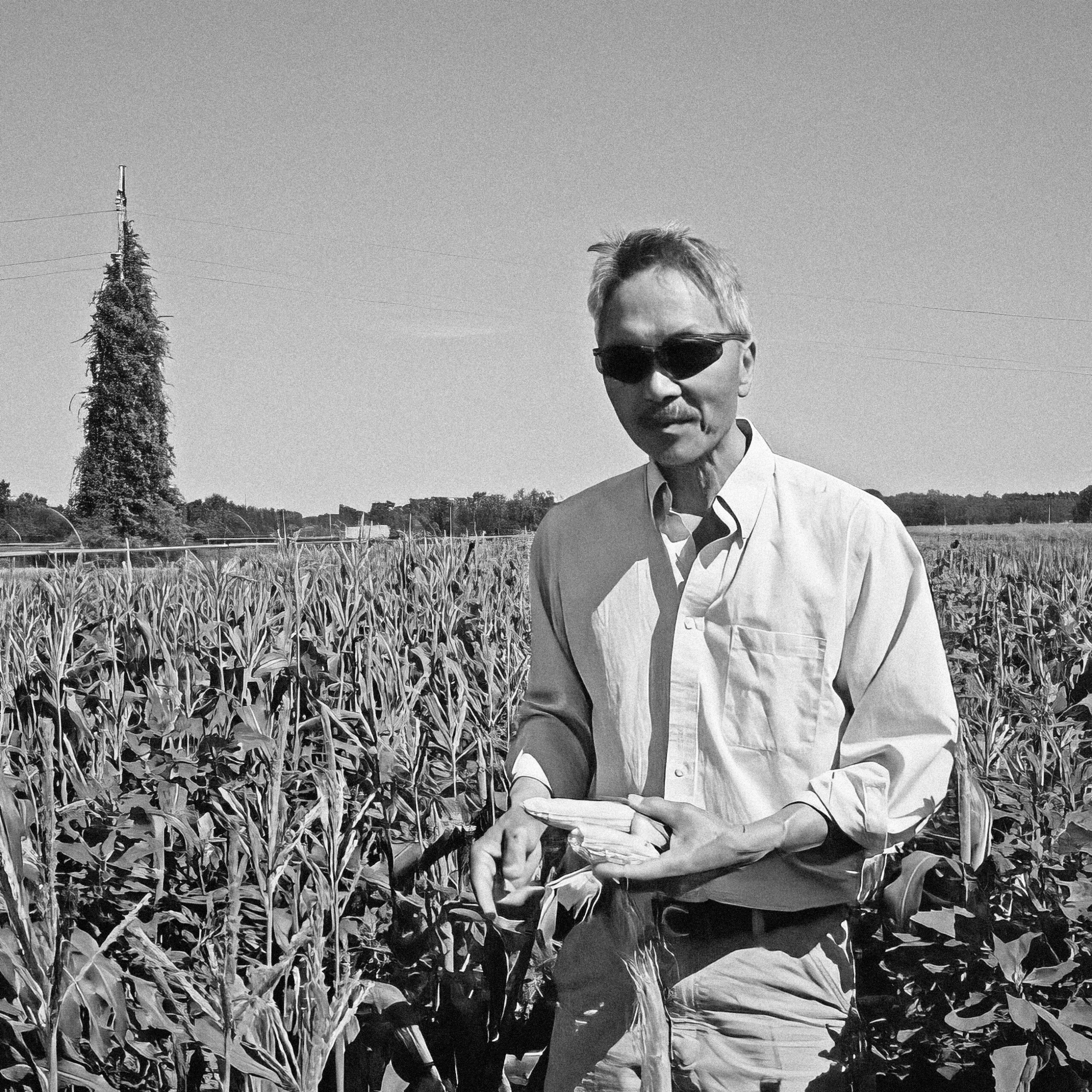 Fred Lee - Organic Rising