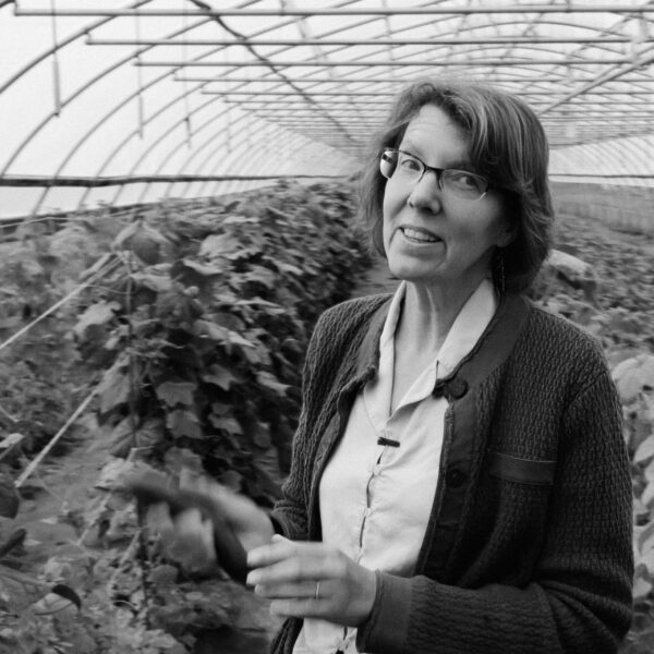 Organic Rising