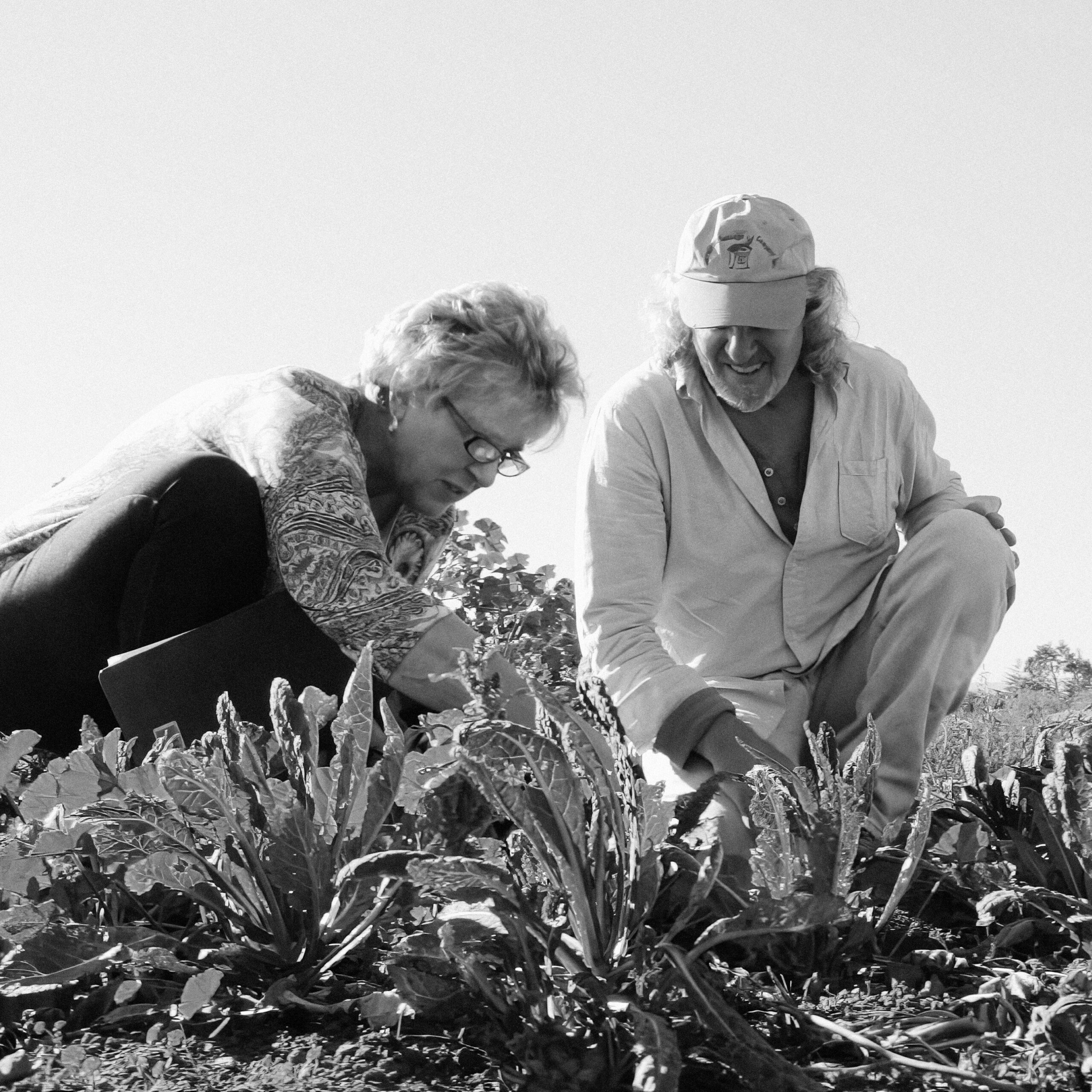 Pam Sullivan Organic Rising